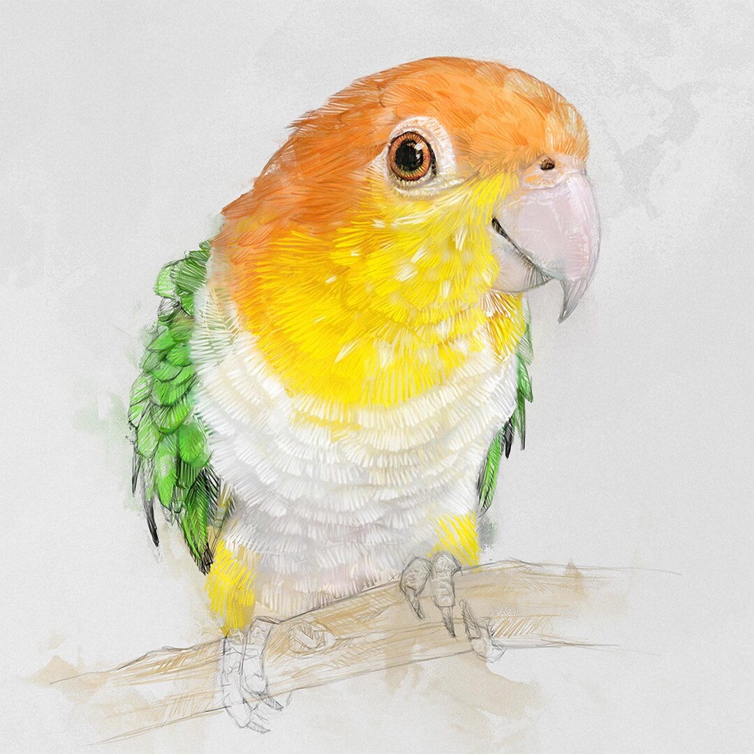 Custom Bird Portrait, Beautiful Pet Artwork, Cute Custom Parrot Canvas ...