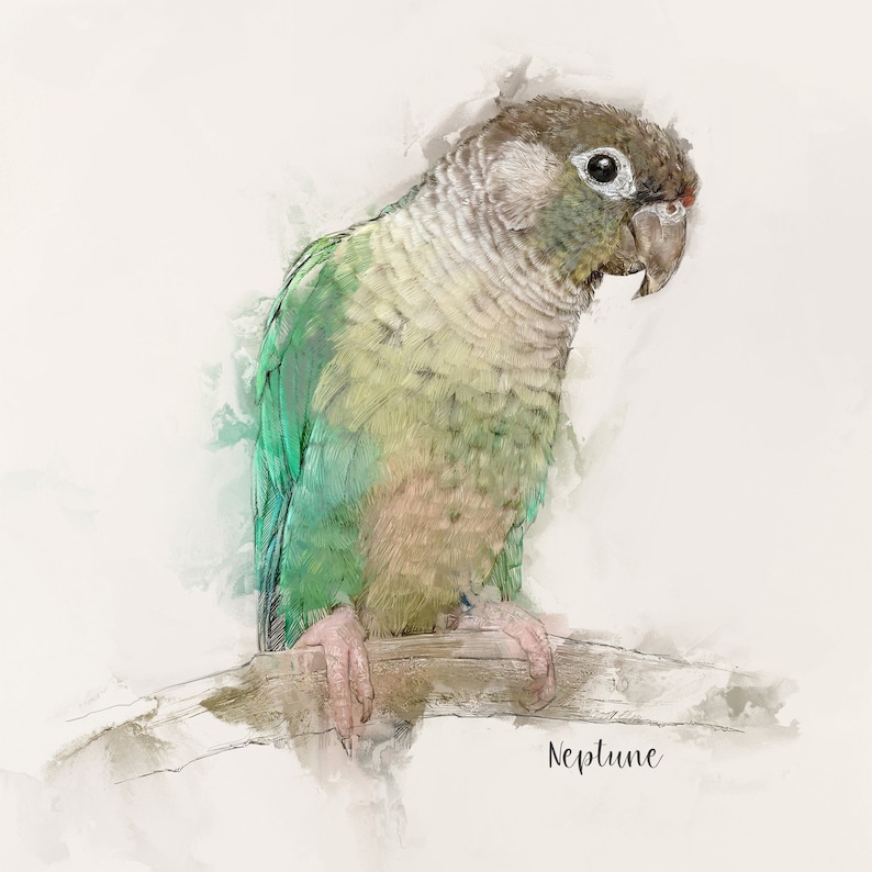 Custom Bird Portrait Beautiful Pet Artwork Custom Parrot - Etsy