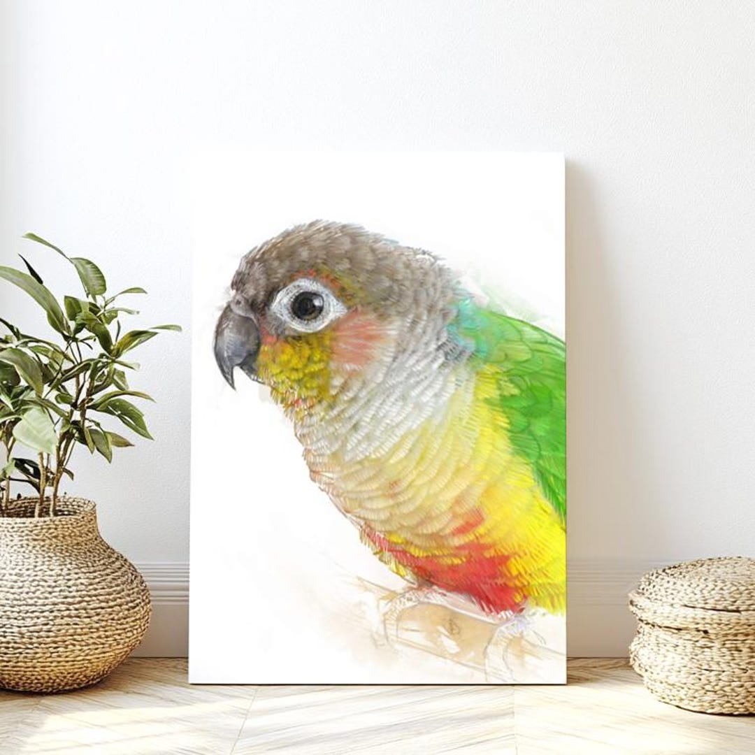 Green Cheek Conure Parrot Canvas Art: Tropical Bird Print - Etsy
