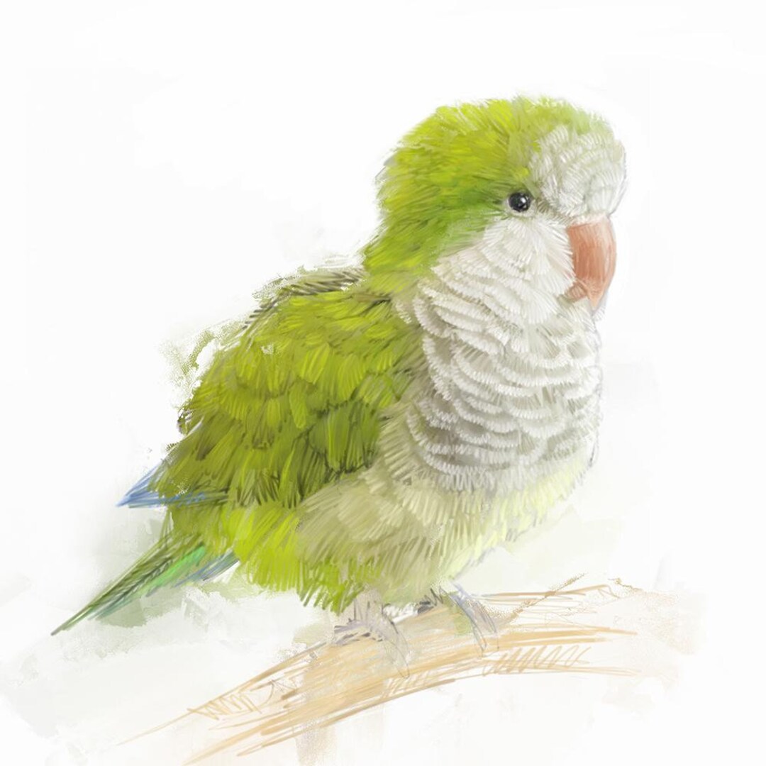 Custom Bird Portrait, Beautiful Pet Artwork, Cute Custom Canvas ...