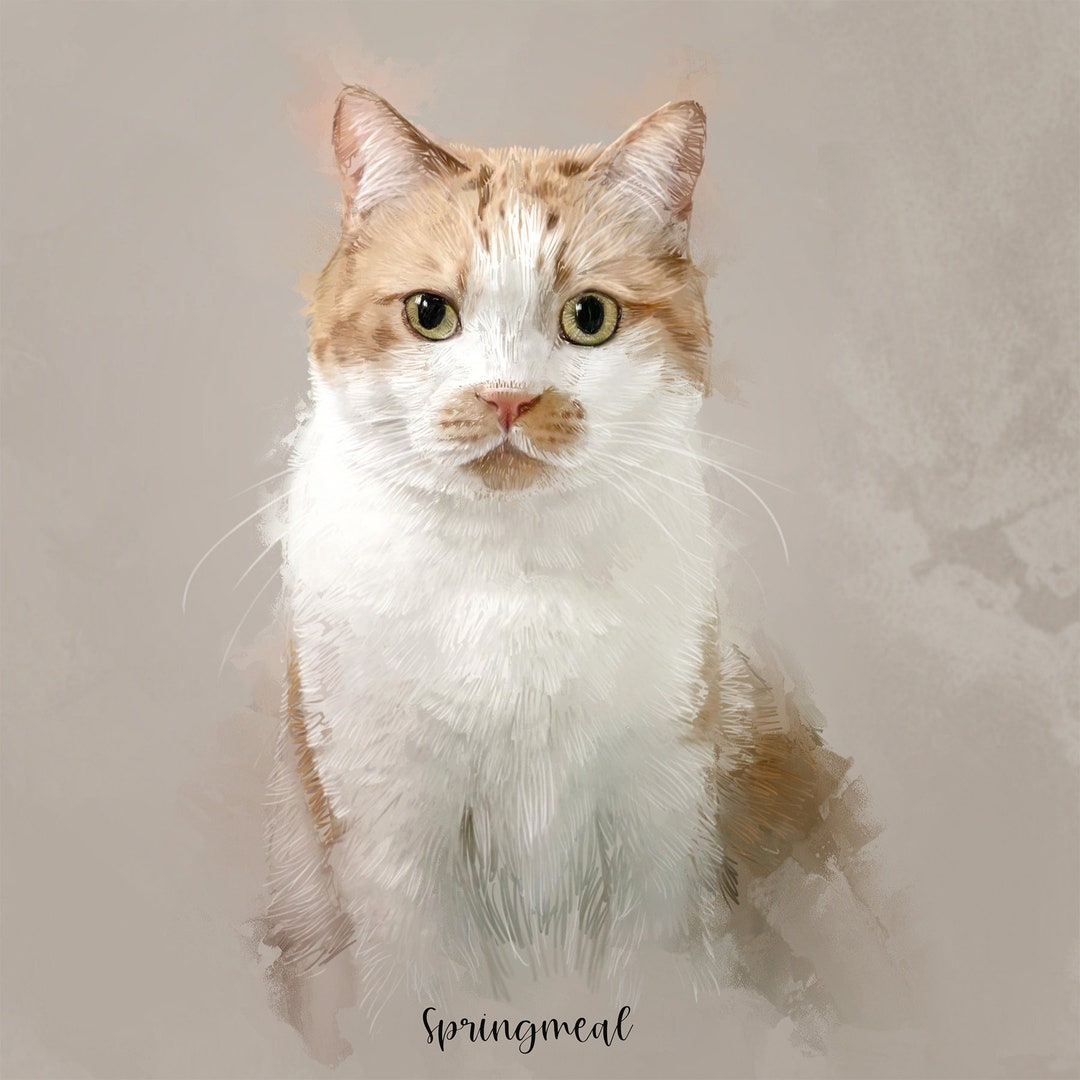 Custom Cat Portrait, Personalized Pet Memorial Gift (digital Art) - Etsy