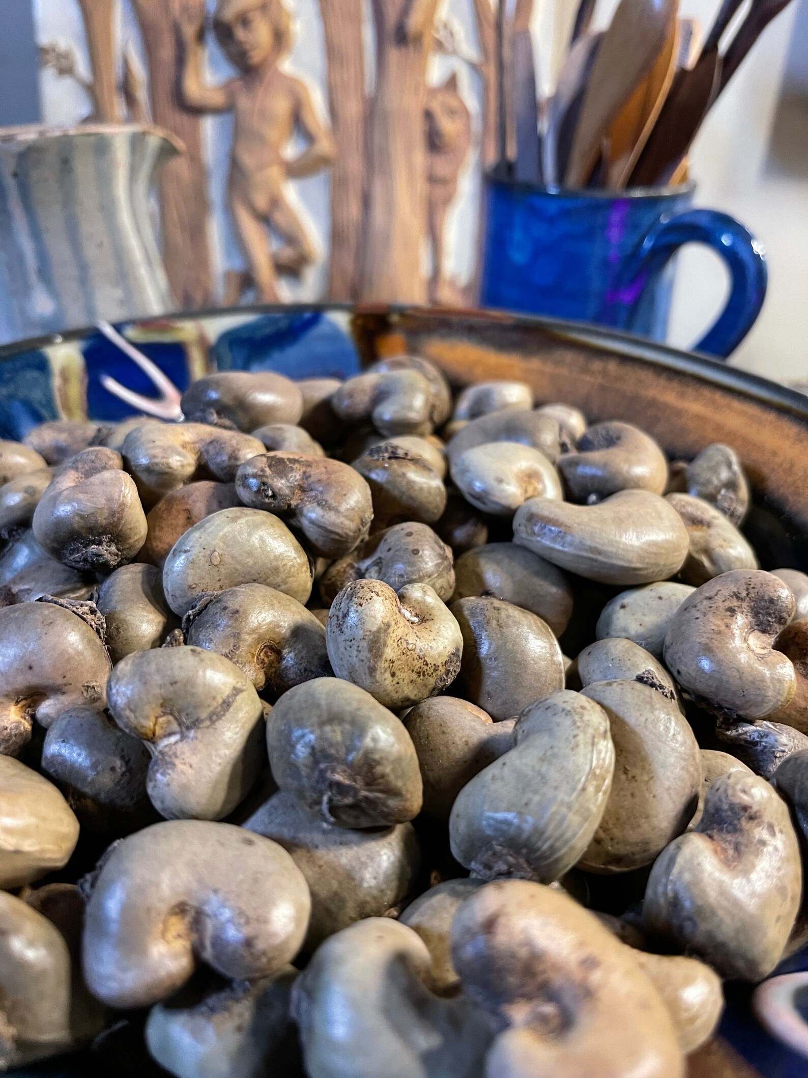 100 Cashew Seeds for Growing, Home Garden, Home School Children, Novel ...