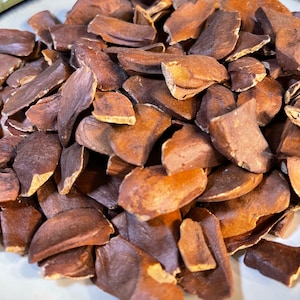 50 Sky Fruit Seeds, Mahoni, From Indonesia - Etsy