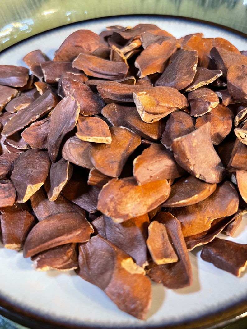 50 Sky Fruit Seeds Mahoni From Indonesia - Etsy