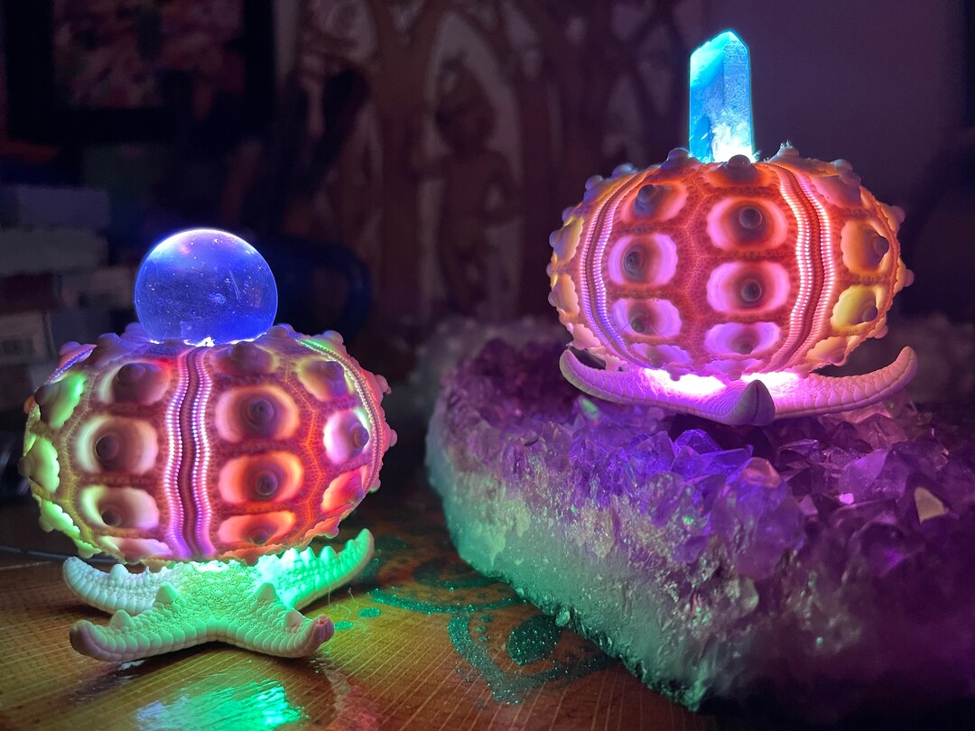 Small Starfish Lamp Nightlight Seashell With Crystal or Glass Orb ...
