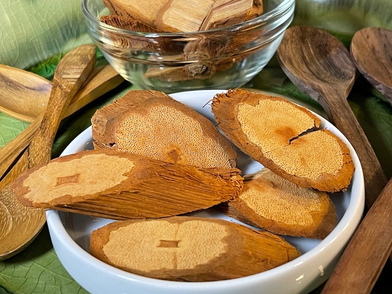 50 Gram Akar Bajakah Dried Root From Borneo - Etsy