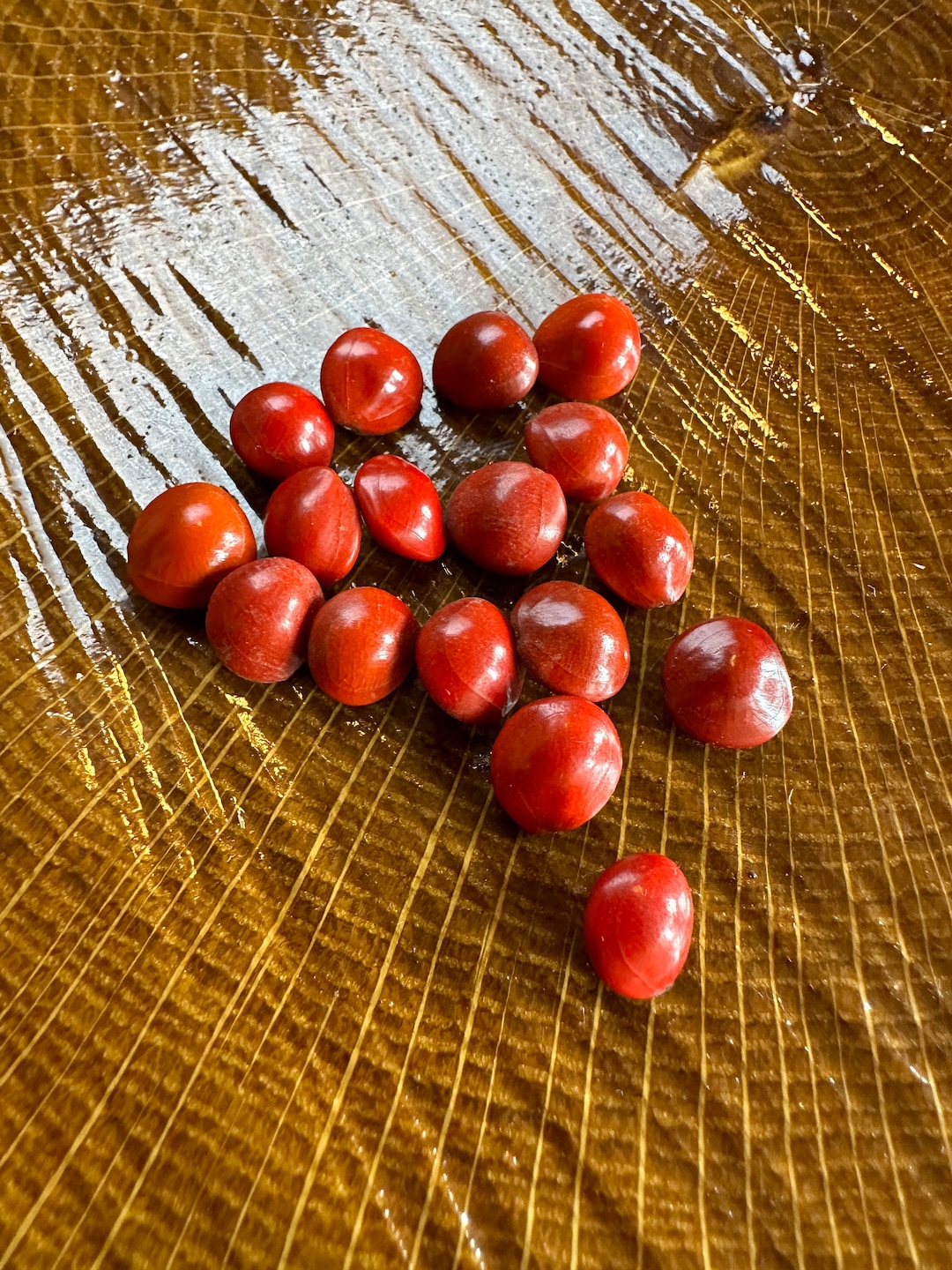 Saga Seeds Adenanthera Pavonina 50 Seeds for Growing | Red Lucky Seed ...