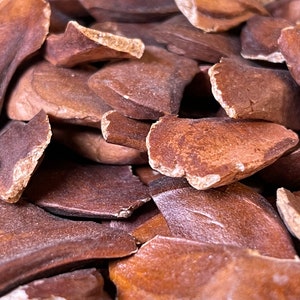 50 Sky Fruit Seeds, Mahoni, From Indonesia - Etsy