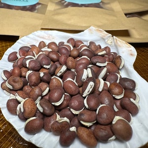 50 Lablab Hyacinth Bean Seeds for Growing - Etsy