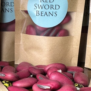 10 Red Sword Bean Seeds for Growing - Etsy