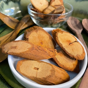 50 Gram Akar Bajakah Dried Root From Borneo - Etsy