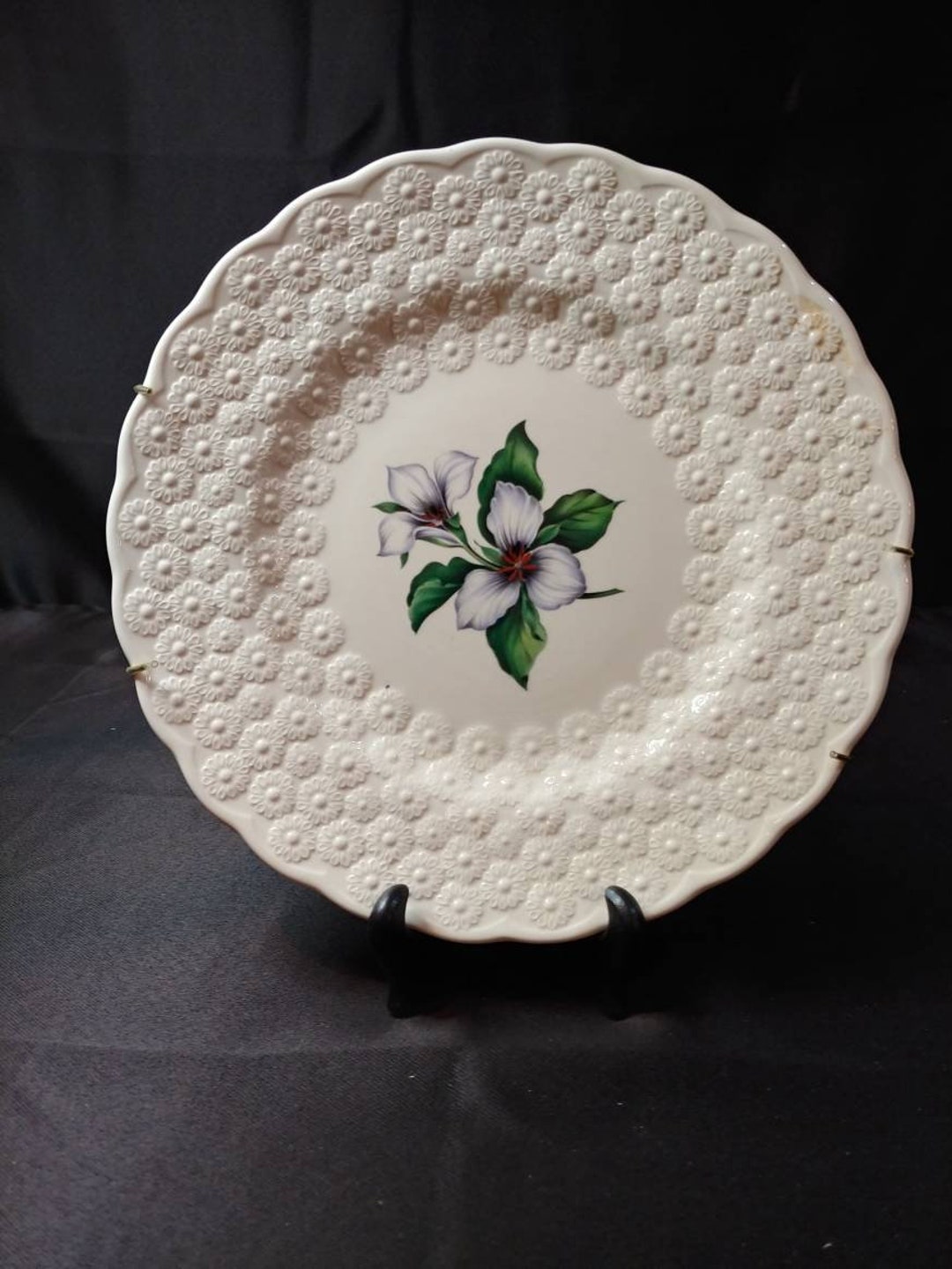Fix-copeland Spode Collectors Plate Vintage Canadian Provincial Flowers ...