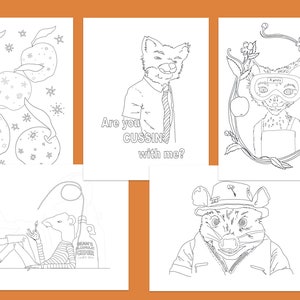 Digital Download Fantastic Mr Fox Coloring Book - Etsy