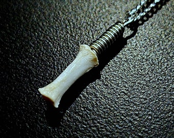 Fox Jawbone Pendant Buckskin Leather Necklace Statement Necklace Animal ...