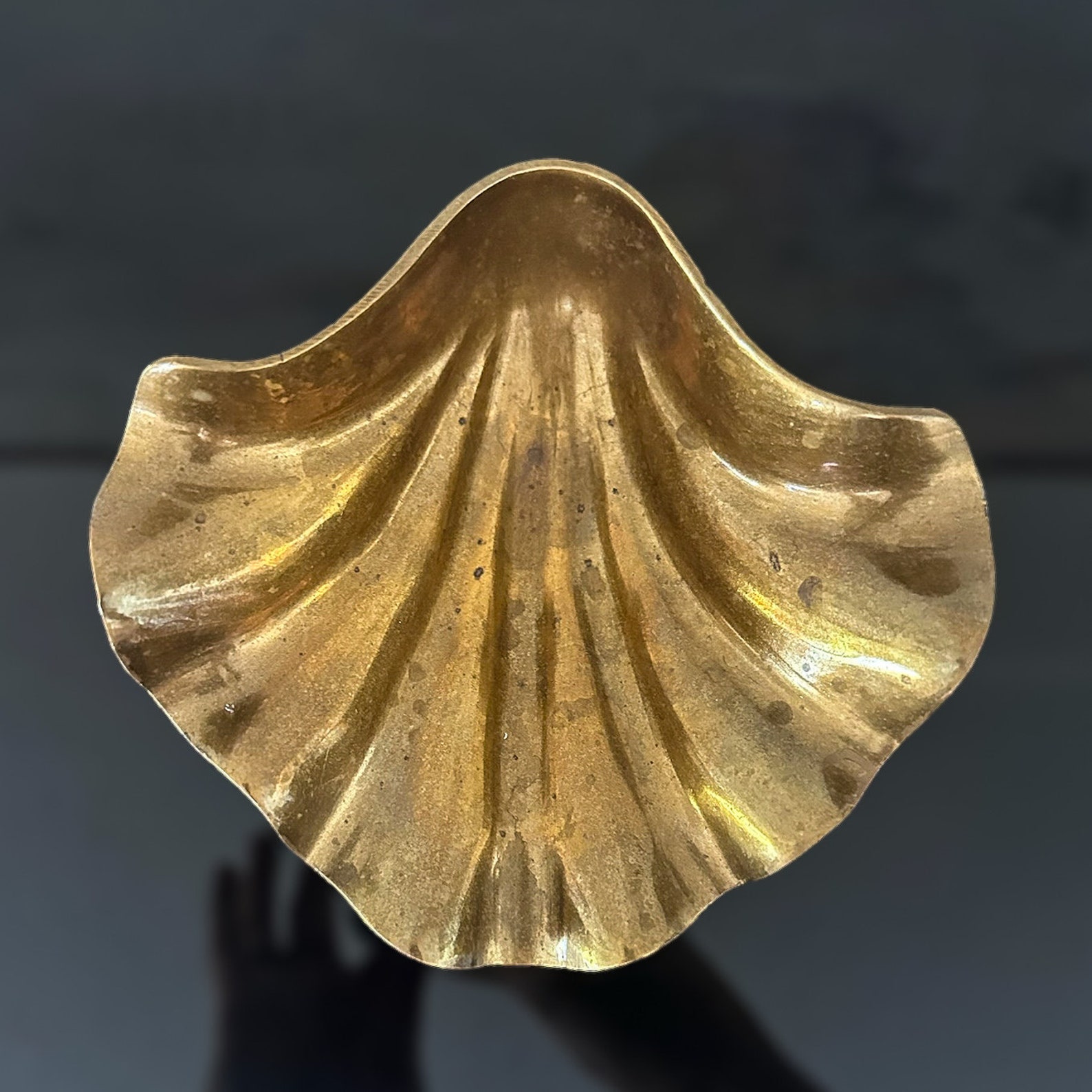 Brass Clam Shell Decorative Dish - Etsy