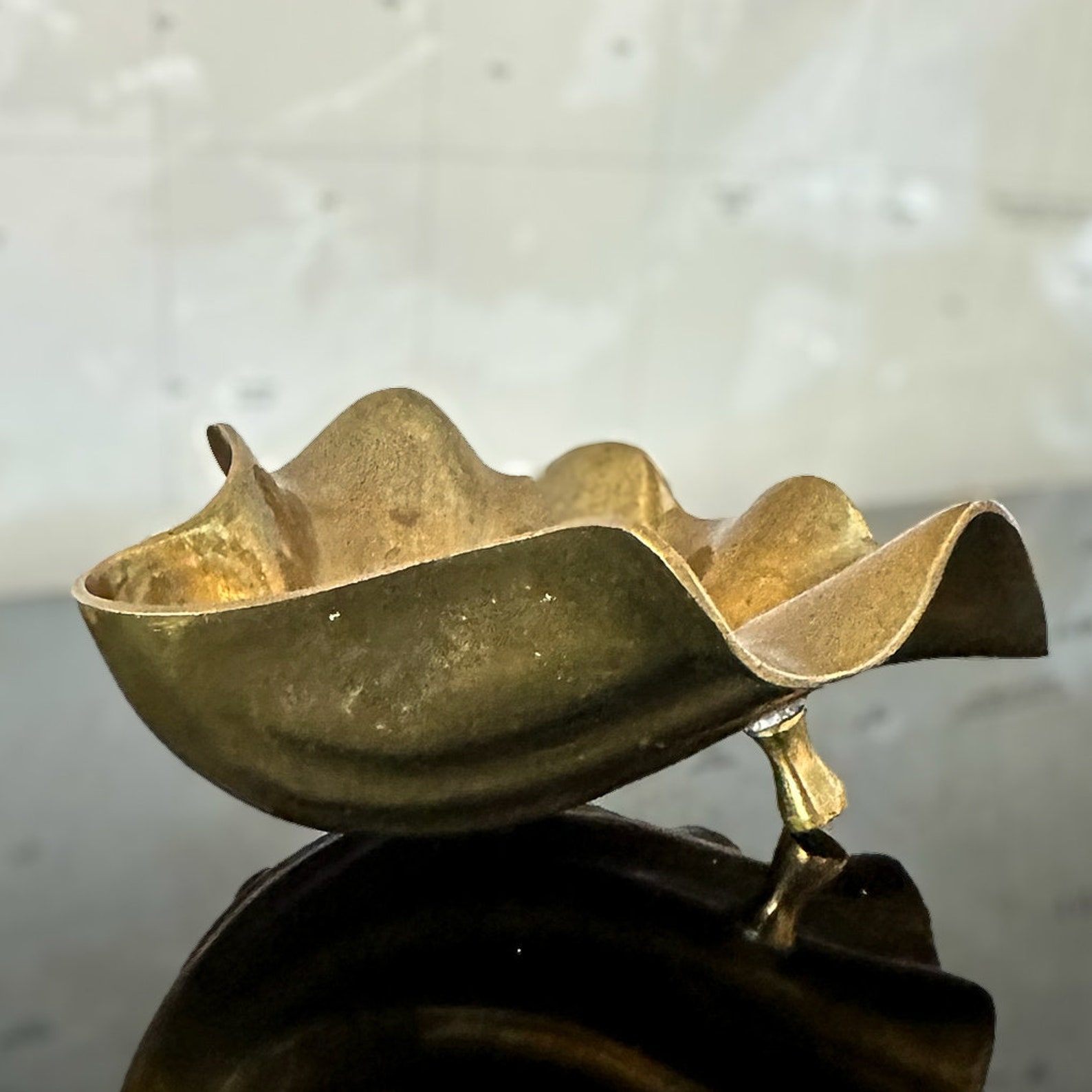 Brass Clam Shell Decorative Dish - Etsy