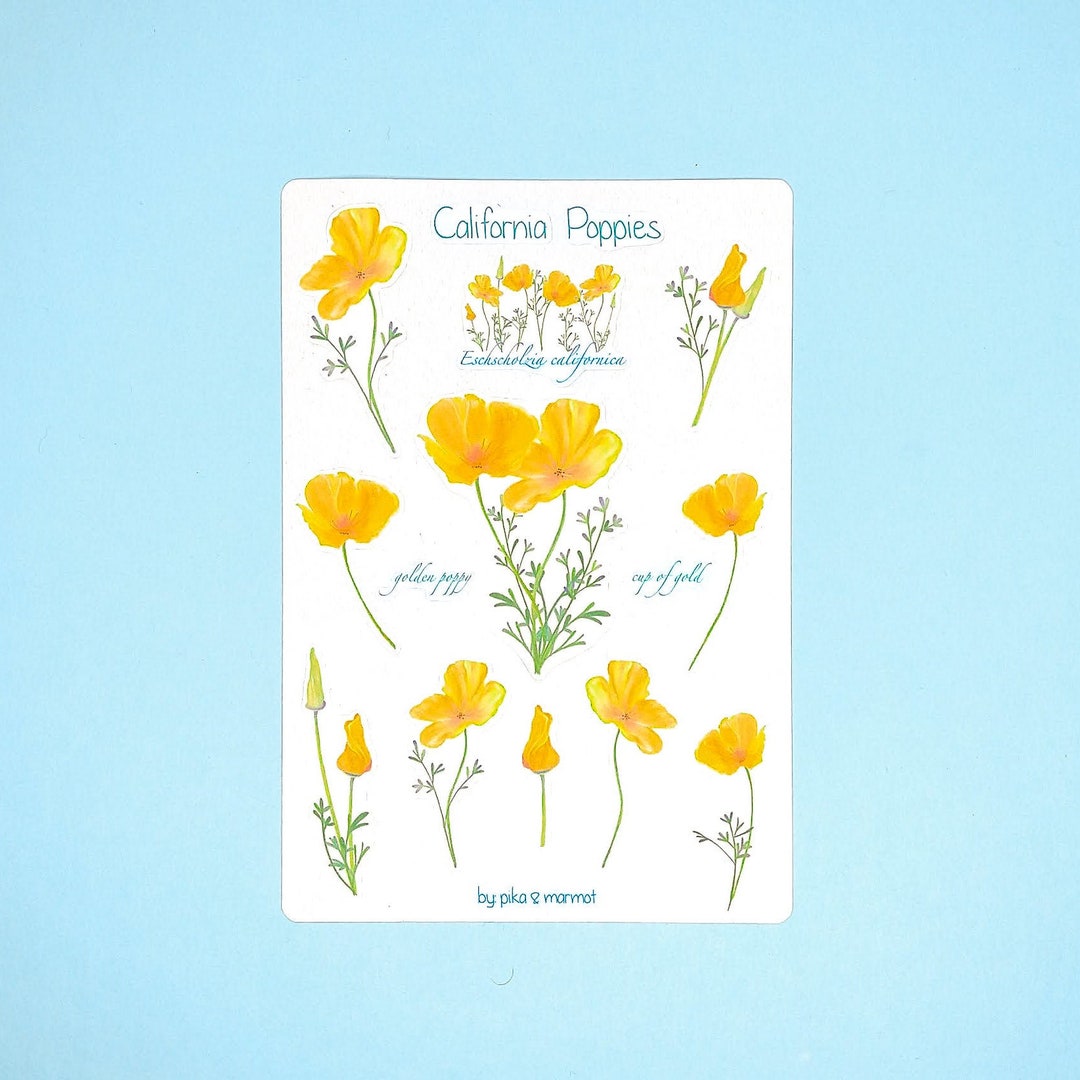 California Poppies Sticker, California Wildflower Sticker, Floral Bujo ...