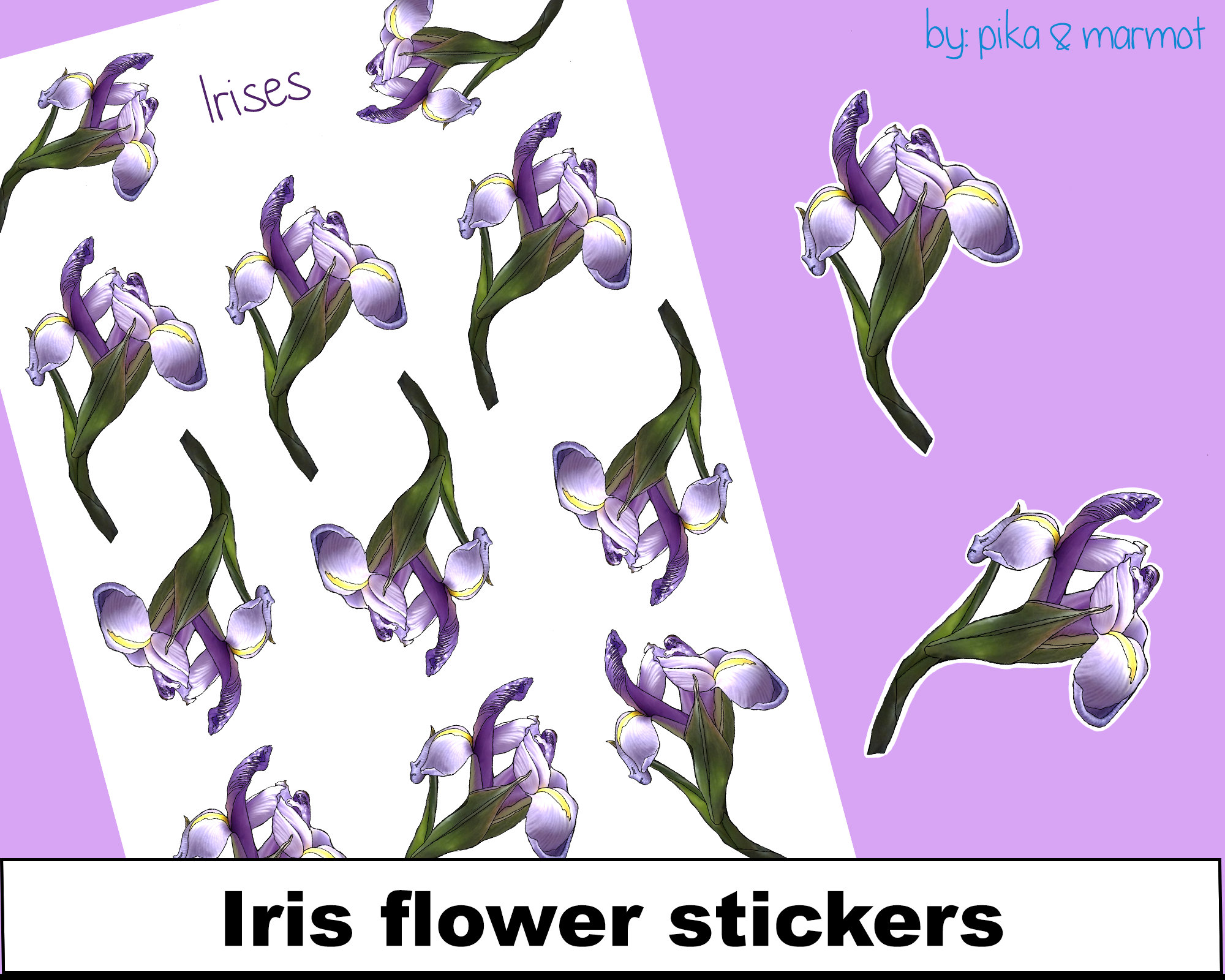 Iris Flower Stickers Purple Iris Sticker Spring Flower - Etsy
