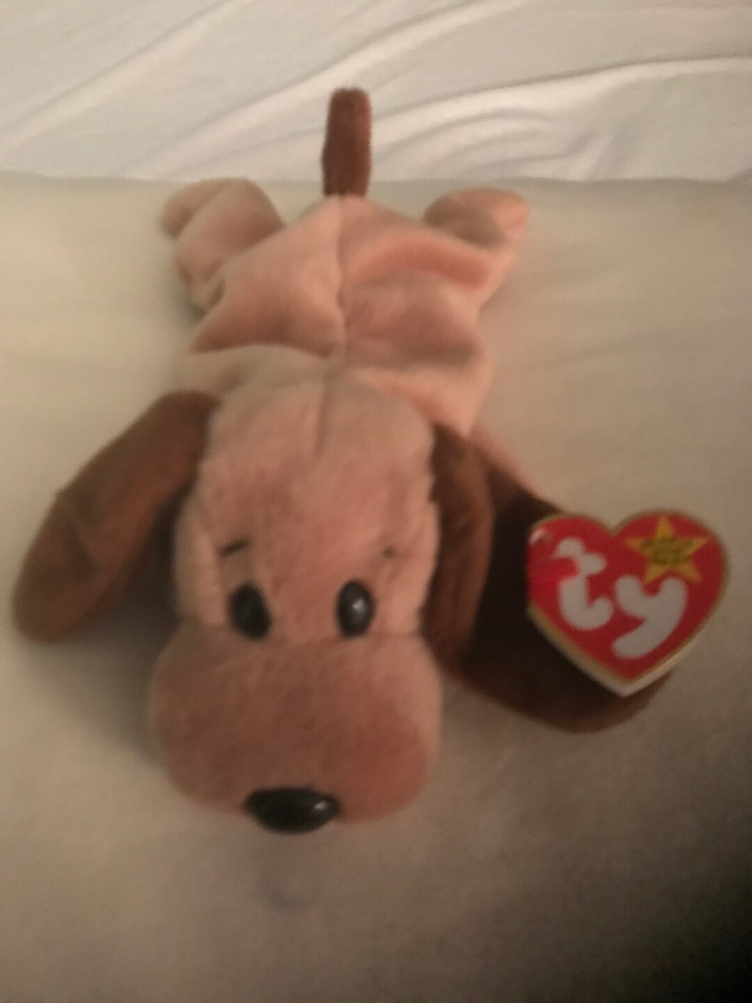 TY Beanie Baby Bones With Errors - Etsy