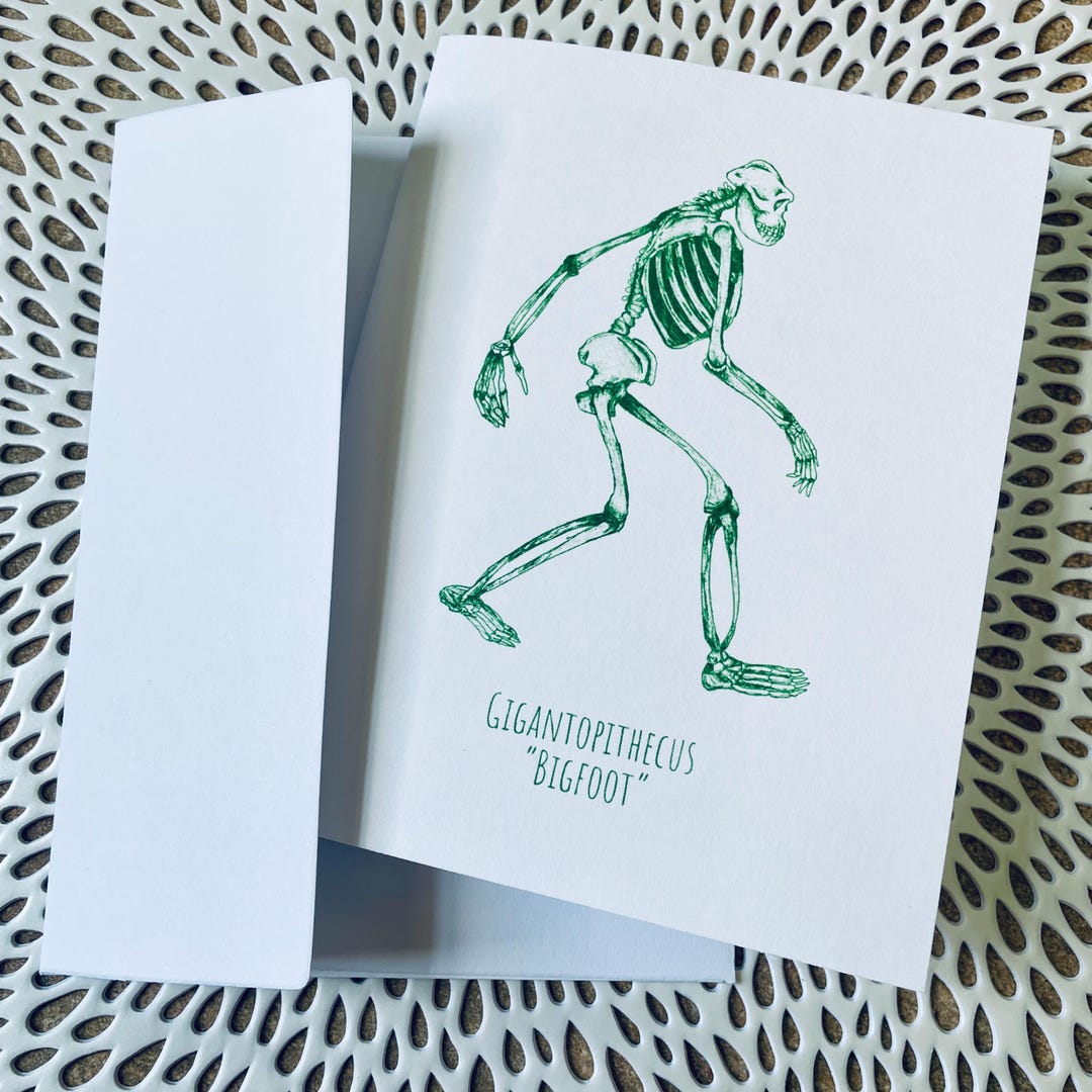 Bigfoot Skeleton Greeting Card: Scientific Illustration, Cryptid Gift ...