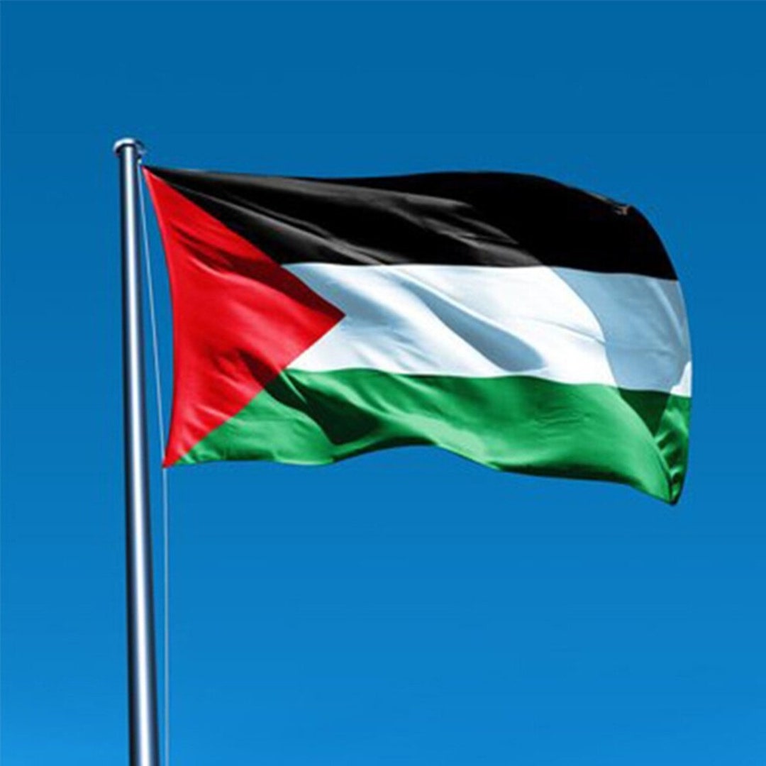 Palestine Flag 5ft X 3ft - Etsy UK