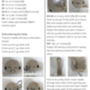 Crochet Pumpkin Pie Snail Pattern Crochet Snail Plush Fall - Etsy Canada