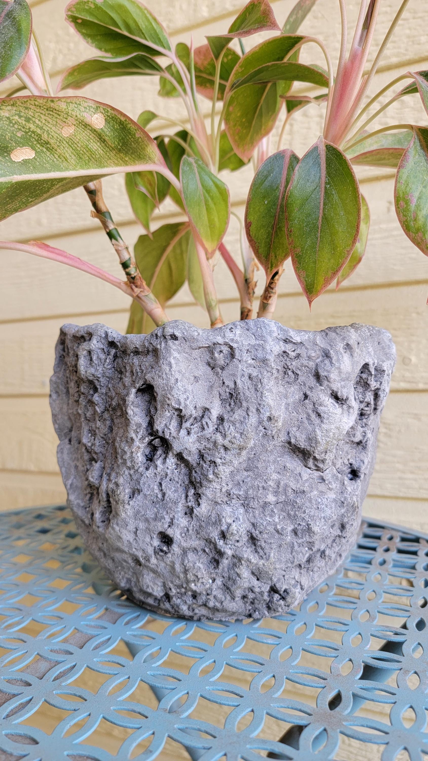 8" or 6" Lava Rock Planter, Faux Stone Plant Pot, Drainage Hole With ...