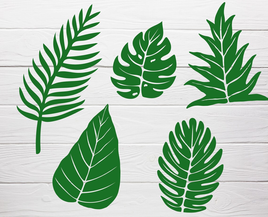 15 Tropical Leaves Bundle Svg for Cut File, Leaf Svg,flower Clipart ...