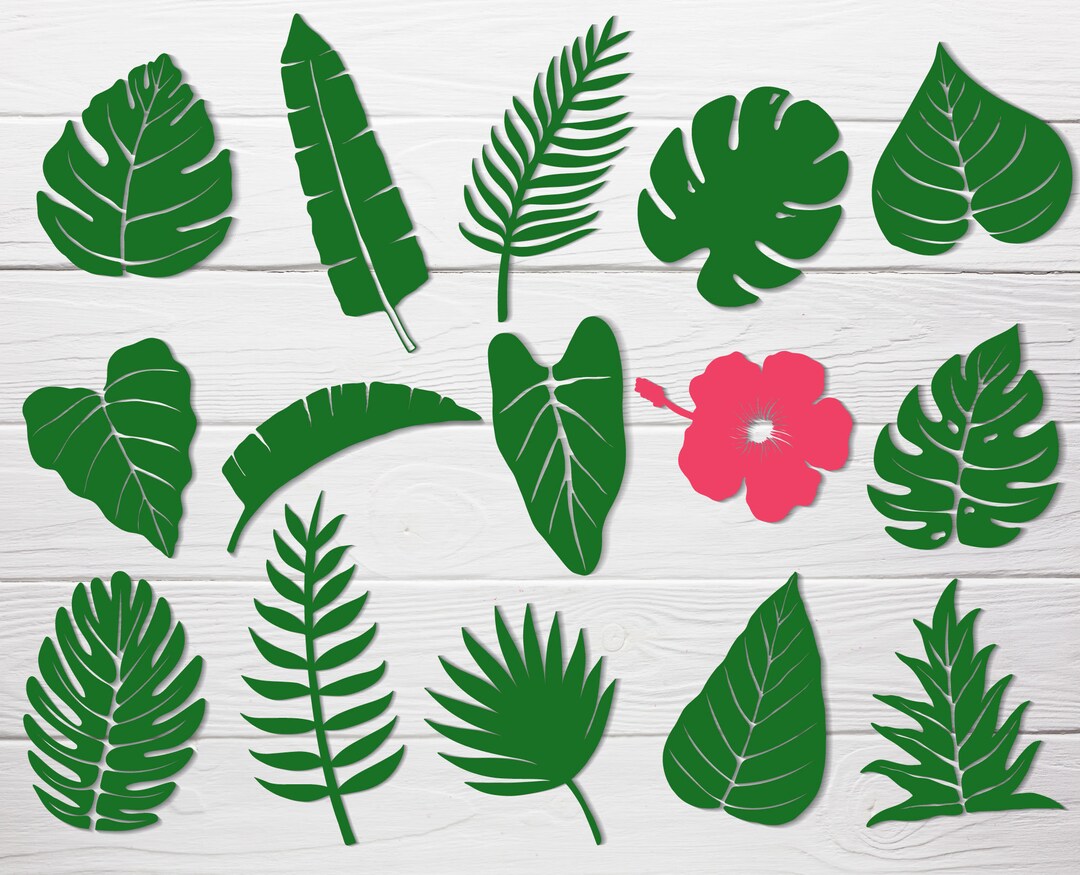 15 Tropical Leaves Bundle Svg for Cut File, Leaf Svg,flower Clipart ...