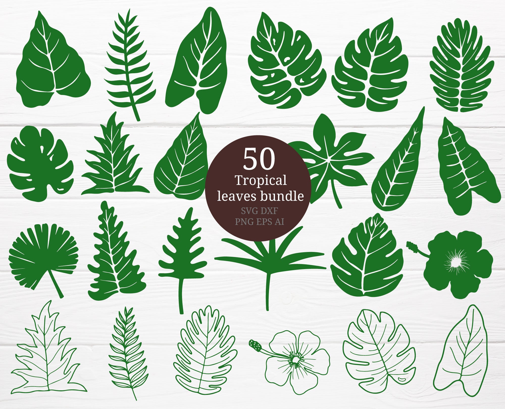 50 Tropical Leaves Bundle Svg for Cut File, Leaf Svg,flower Clipart ...