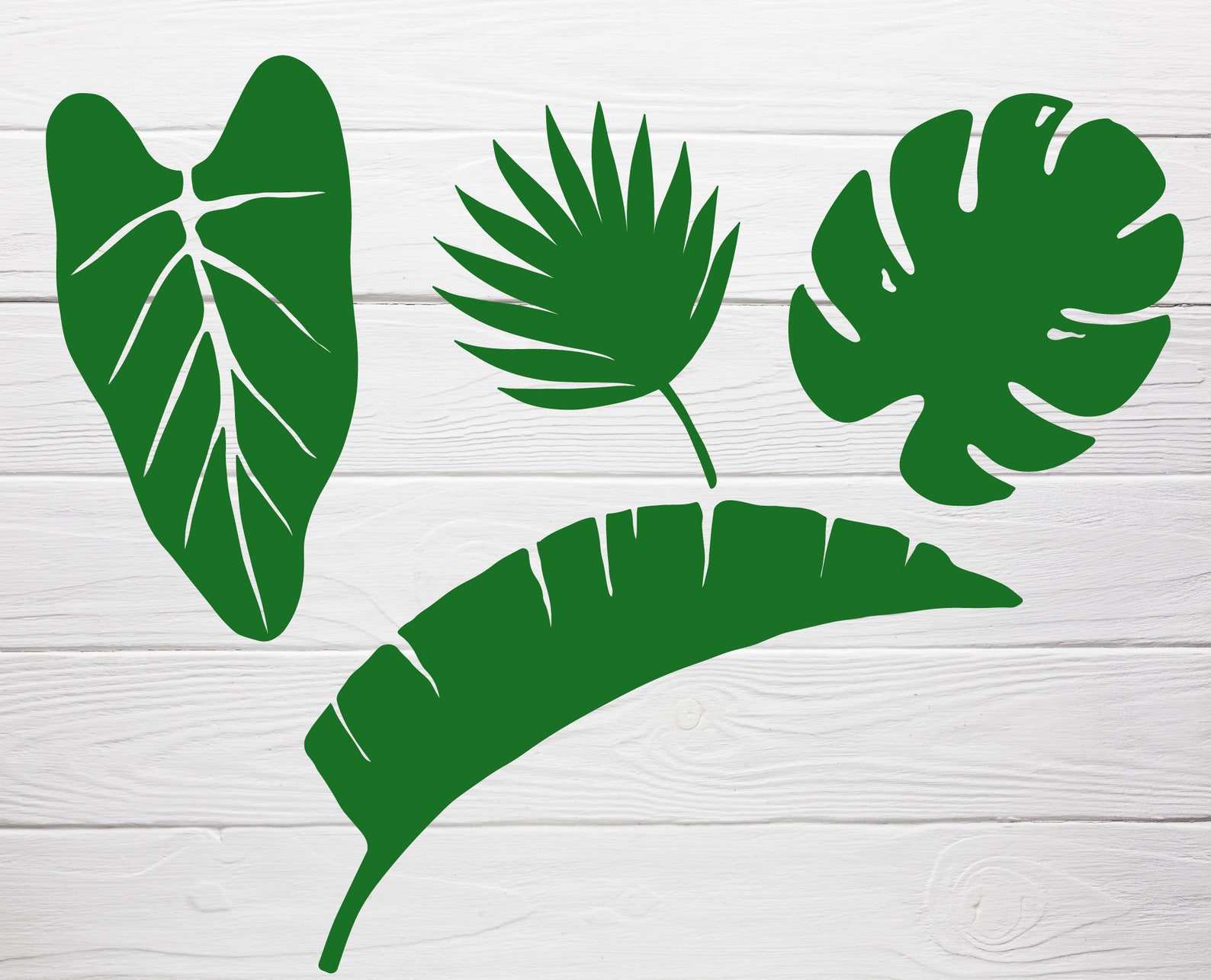 15 Hojas tropicales paquete svg para archivo cortado hoja | Etsy