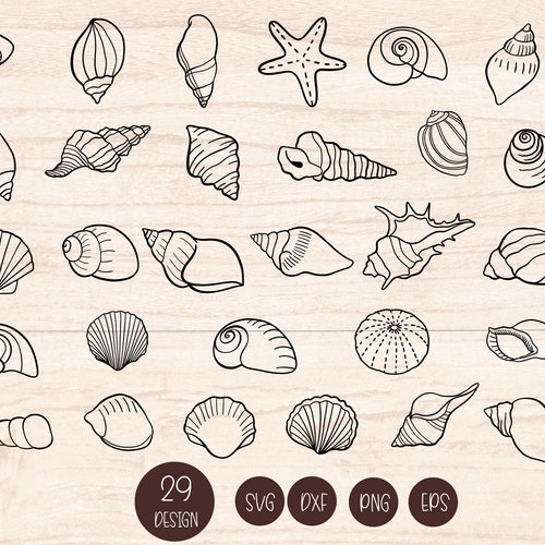 Seashells Bundle SVG for Cut File Shell Summer Beach Svg - Etsy