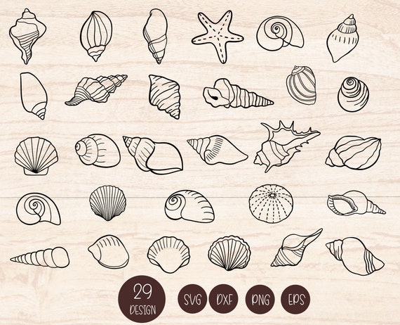 Seashells Bundle SVG for Cut File Shell Summer Beach Svg - Etsy