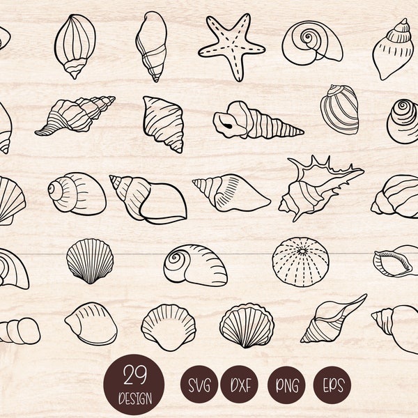 Shell Svg - Etsy