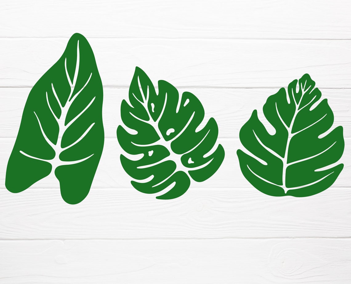 50 Tropical Leaves Bundle Svg for Cut File, Leaf Svg,flower Clipart ...