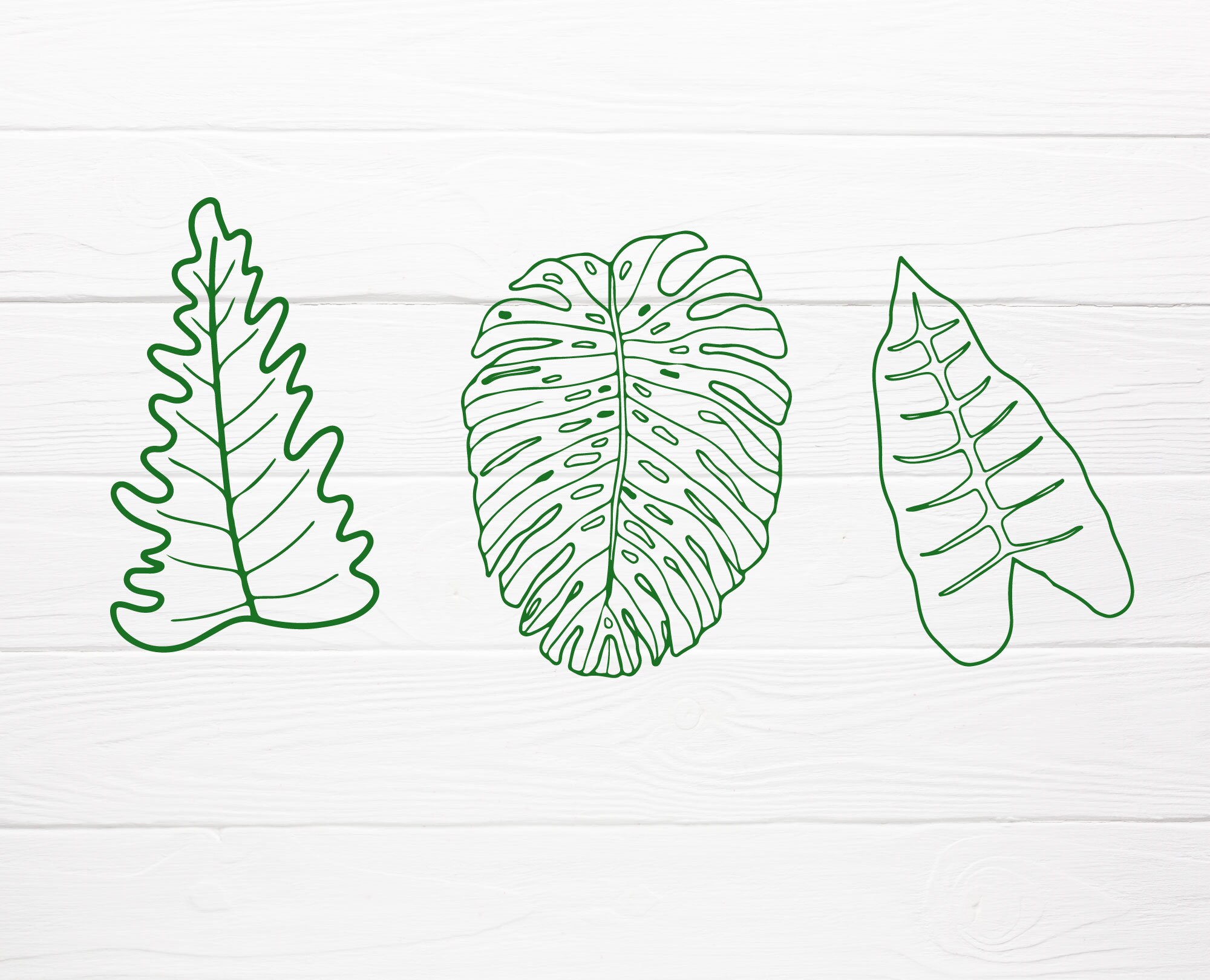 50 Tropical Leaves Bundle Svg for Cut File, Leaf Svg,flower Clipart ...