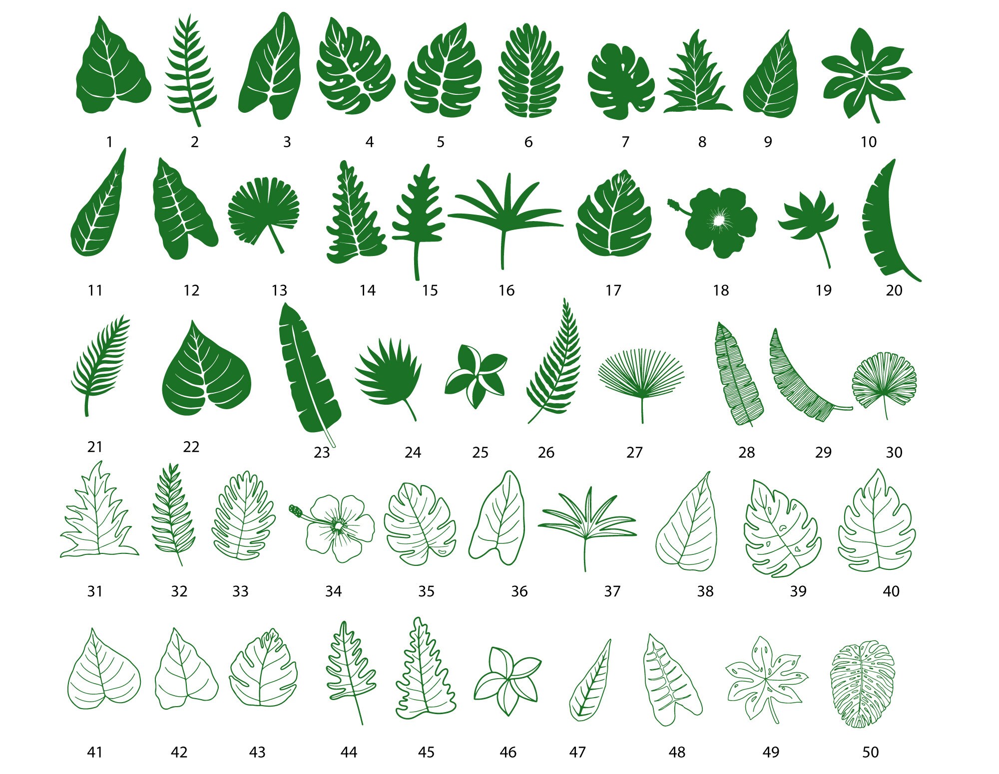 50 Tropical Leaves Bundle Svg for Cut File, Leaf Svg,flower Clipart ...