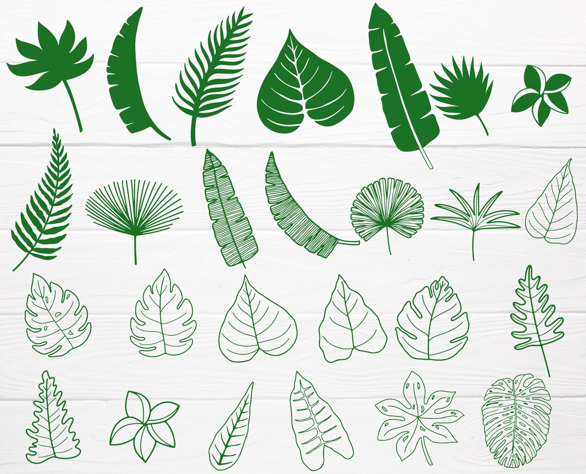 50 Tropical Leaves Bundle Svg for Cut File, Leaf Svg,flower Clipart ...