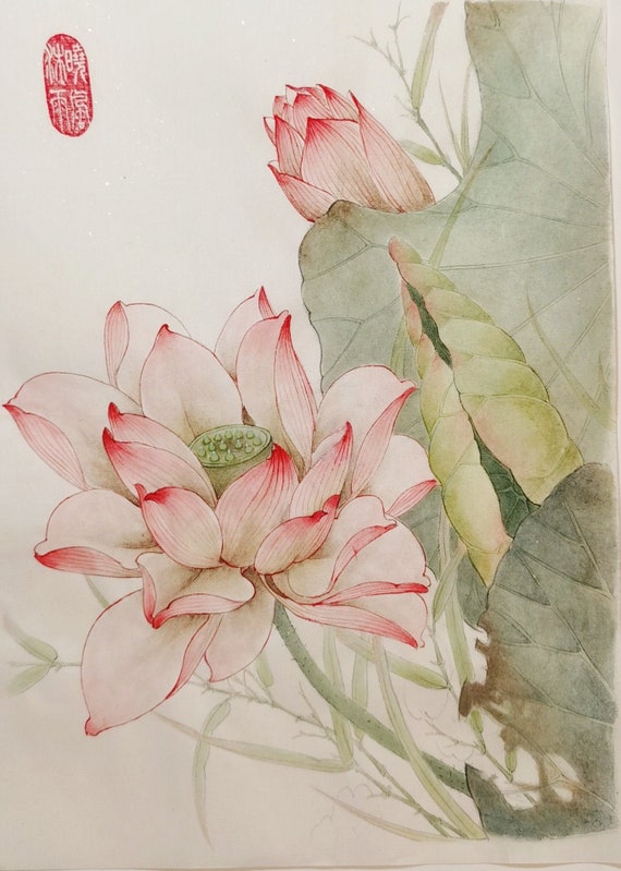 Chinese Lotus Flower Painting