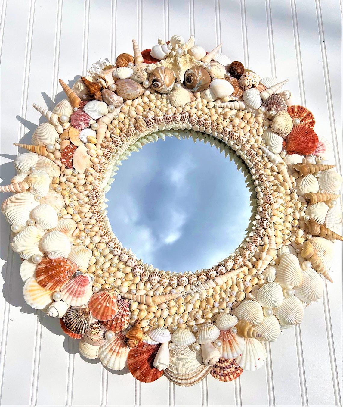 Shell Mirror Round Wall Mirror 23/24 - Etsy