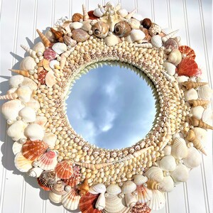 Shell Mirror Round Wall Mirror 23/24 - Etsy