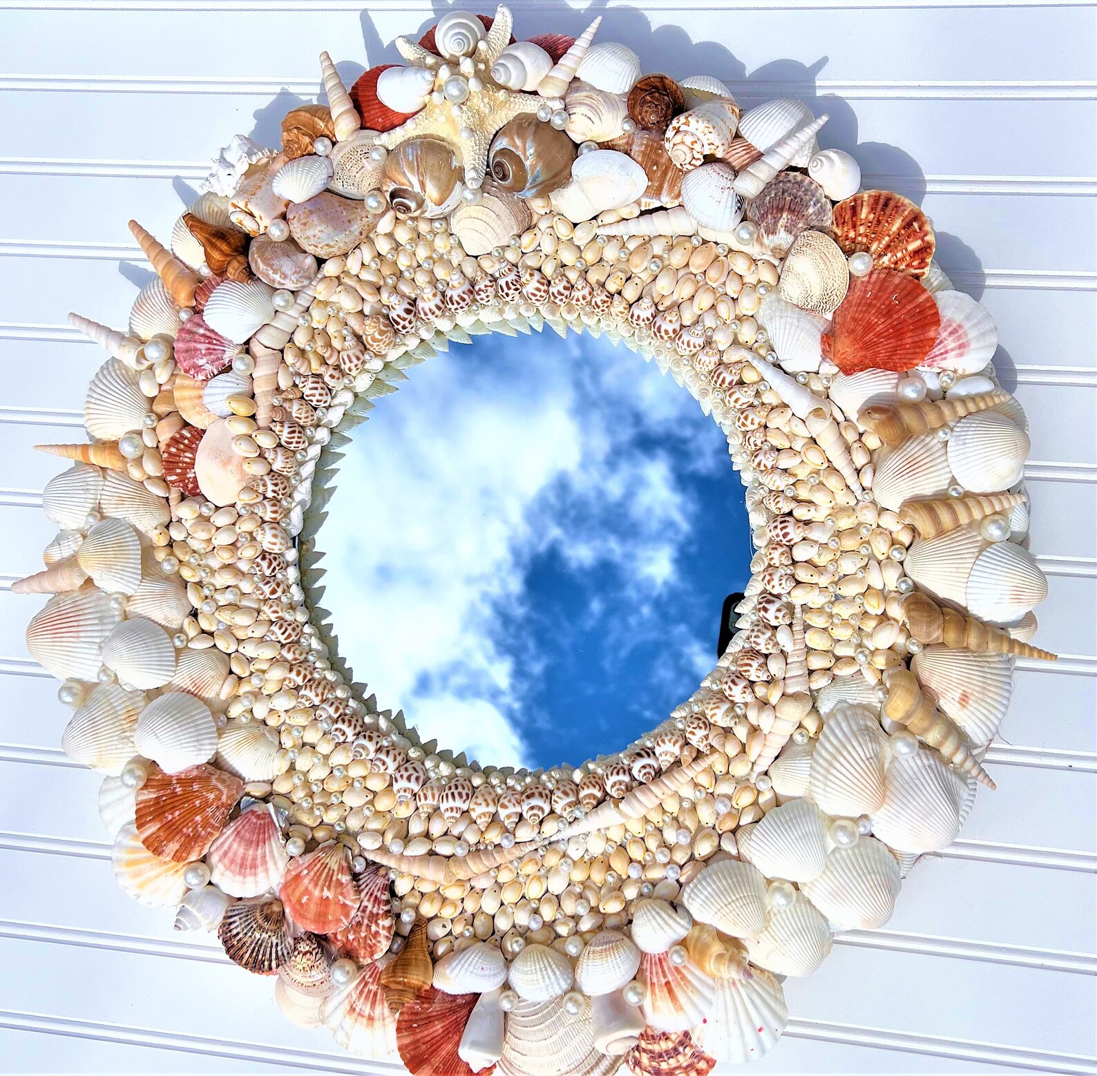 Shell Mirror Round Wall Mirror 23/24 | Etsy