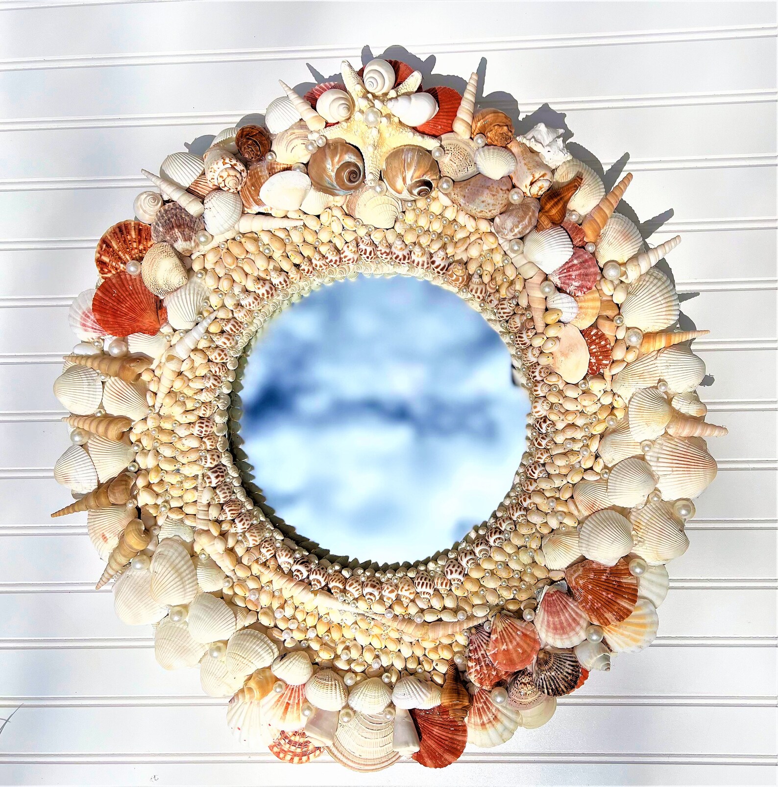 Shell Mirror Round Wall Mirror 23/24 | Etsy