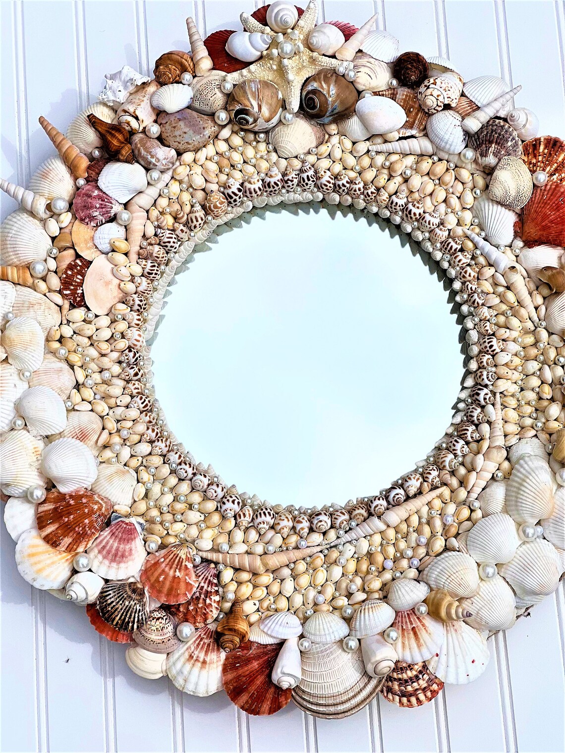 Shell Mirror Round Wall Mirror 23/24 | Etsy