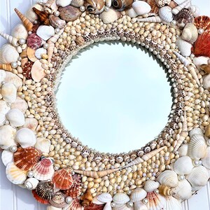 Shell Mirror Round Wall Mirror 23/24 - Etsy