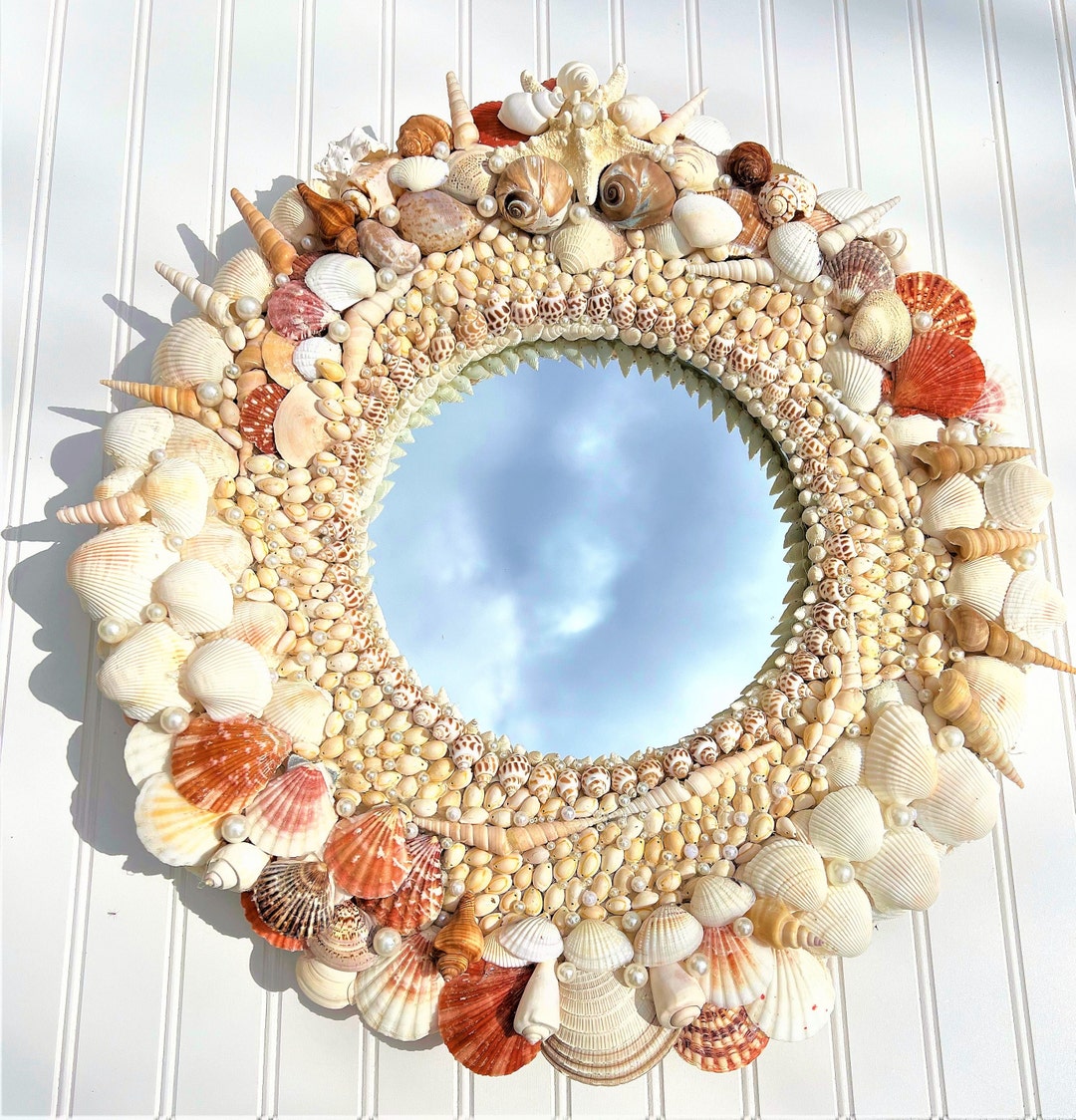 Shell Mirror Round Wall Mirror 23/24 - Etsy