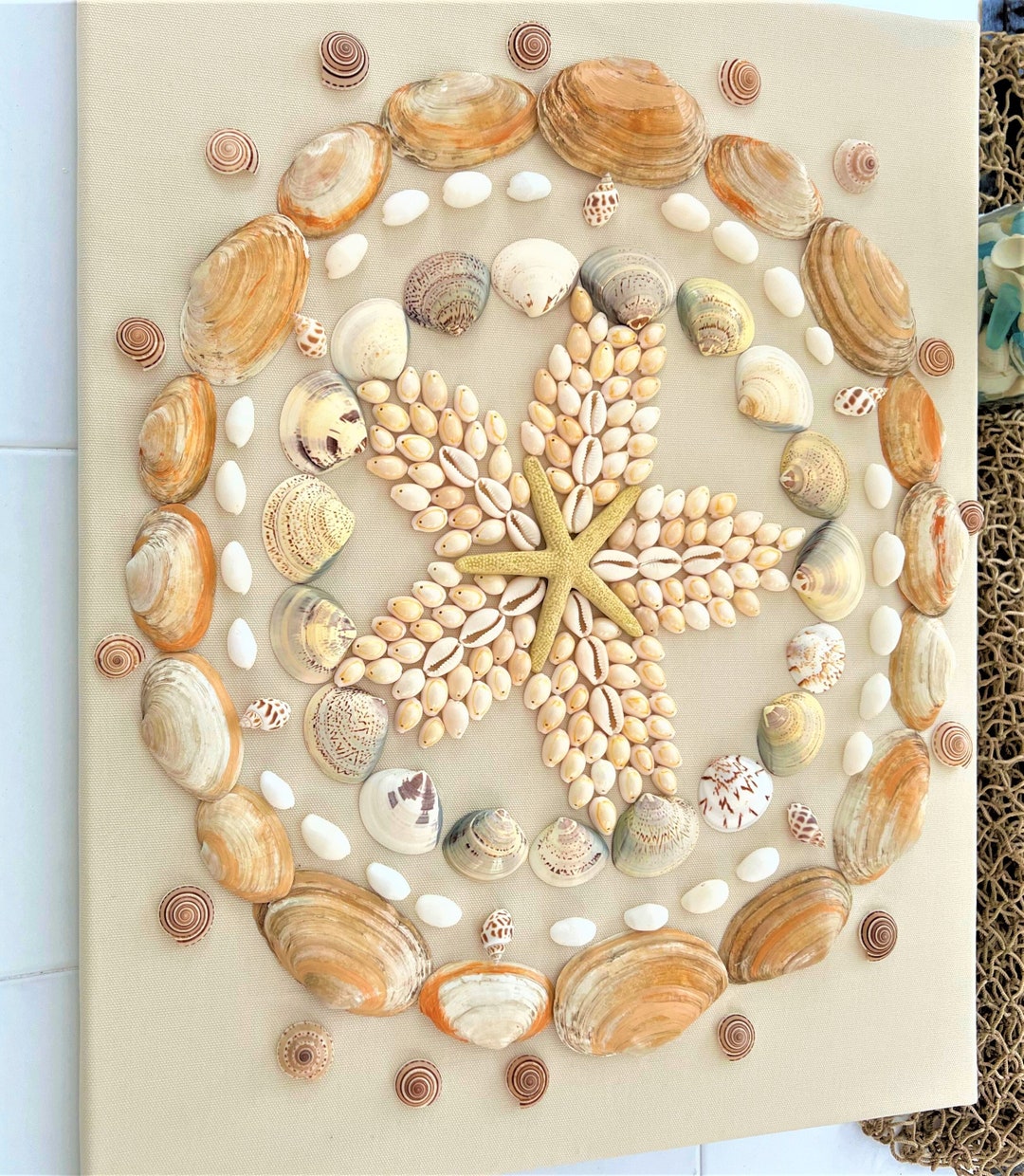 Seashell-coastal Wall Art Décor/ Sea Shell Art Beach Home Décor Natural ...