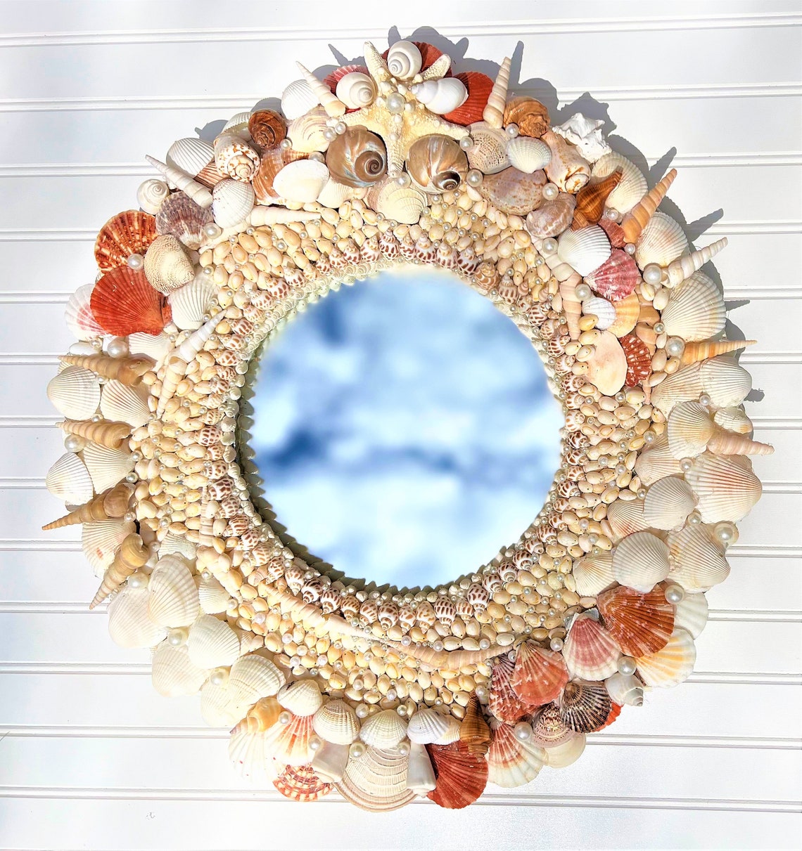 Shell Mirror Round Wall Mirror 23/24 | Etsy