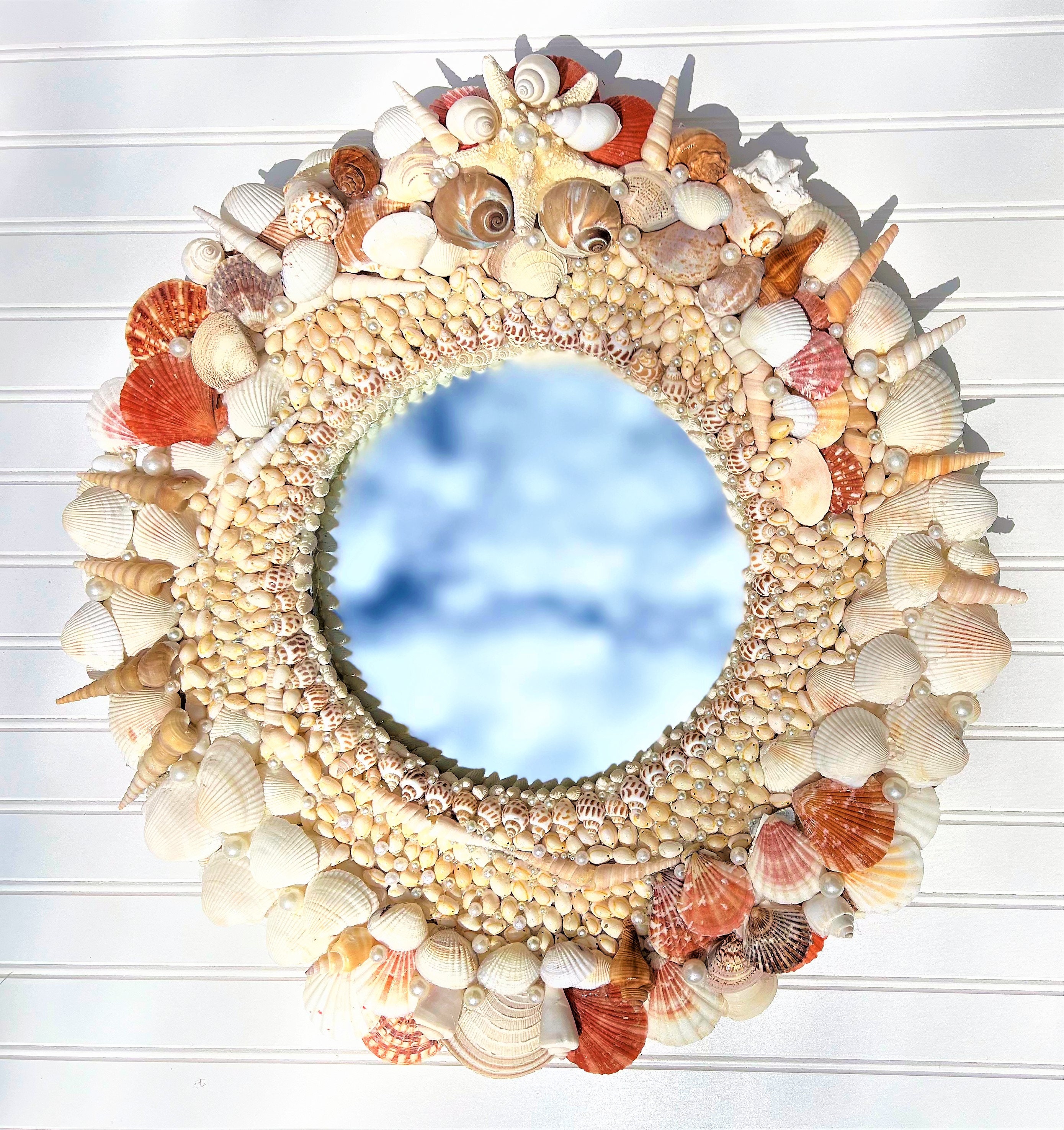 Shell Mirror Round Wall Mirror 23/24 | Etsy