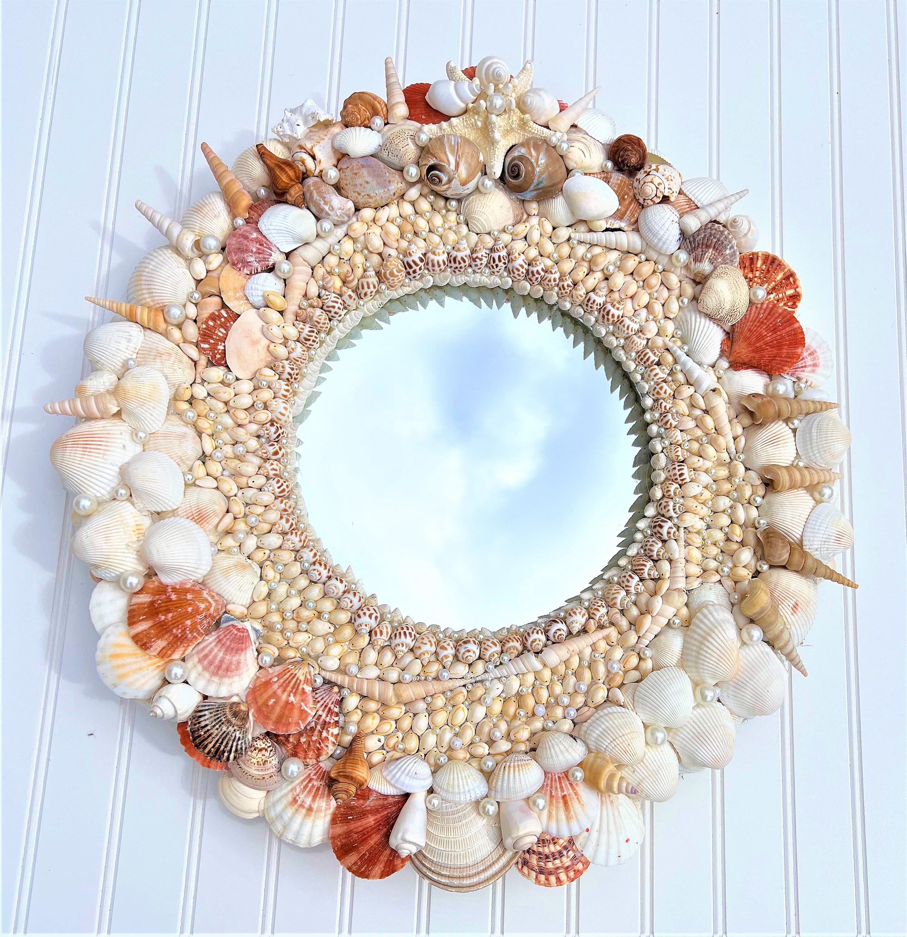 Shell Mirror Round Wall Mirror 23/24 | Etsy
